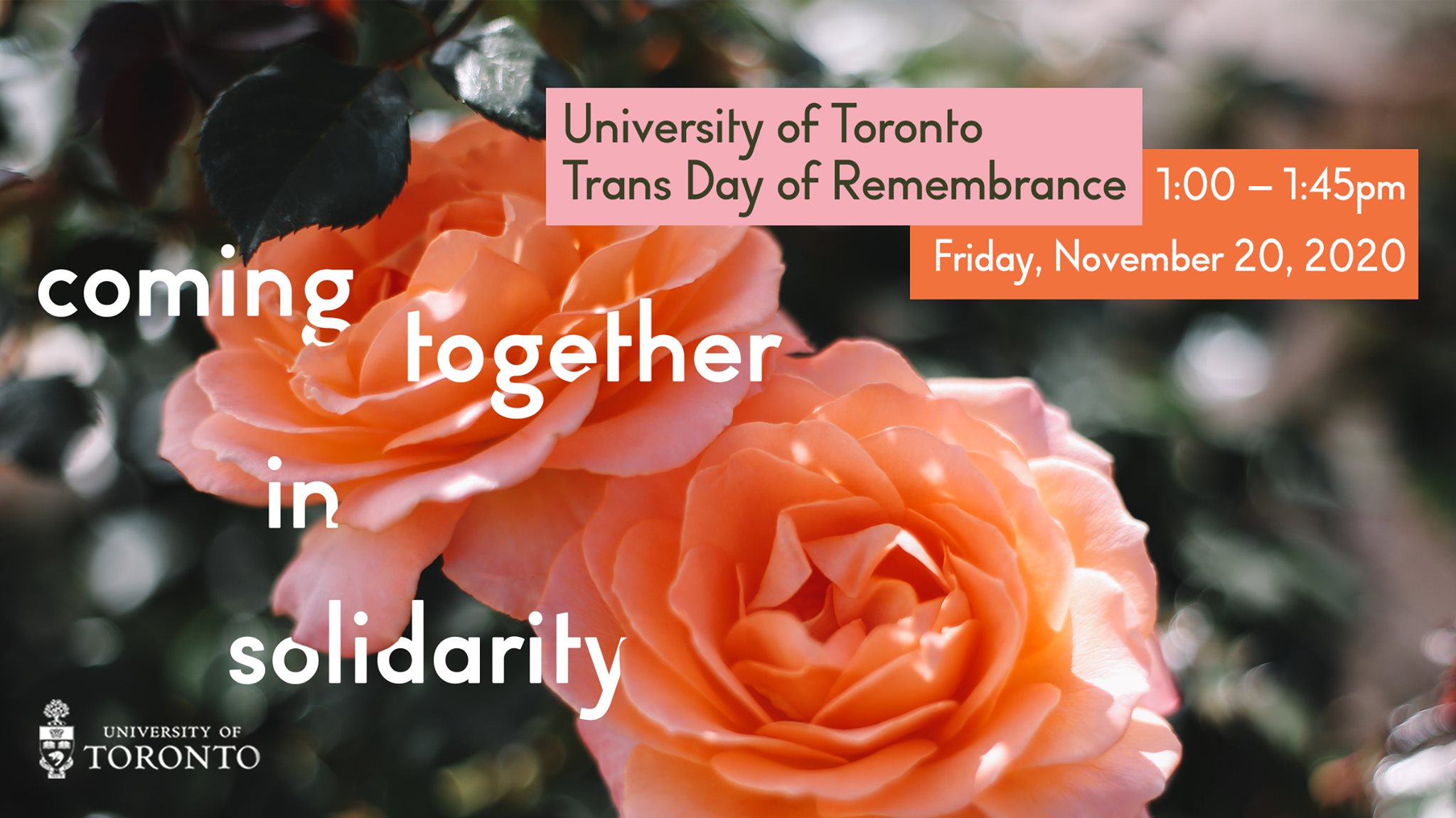 U of T TDoR: Coming Together in Solidarity | QueerEvents.ca